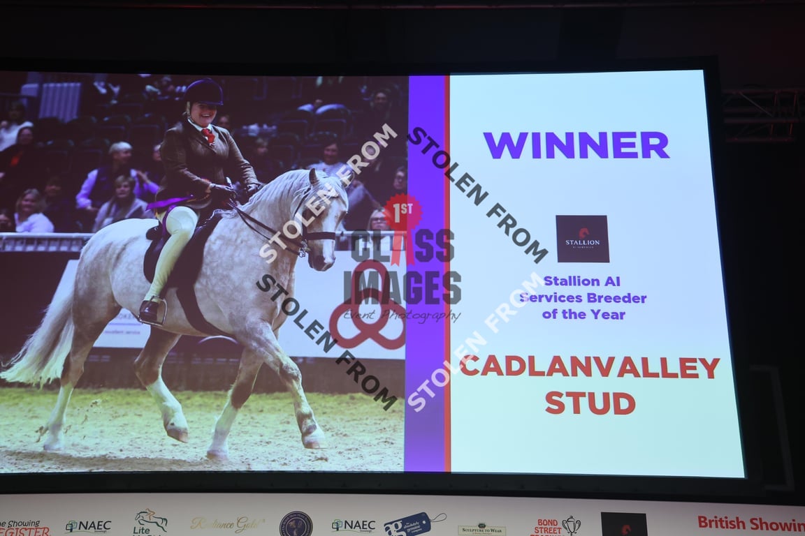 TE4_0453 2024 - 1st Class Images