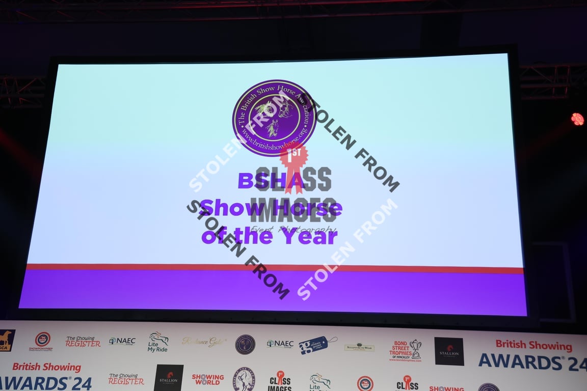 TE4_0549 2024 - 1st Class Images