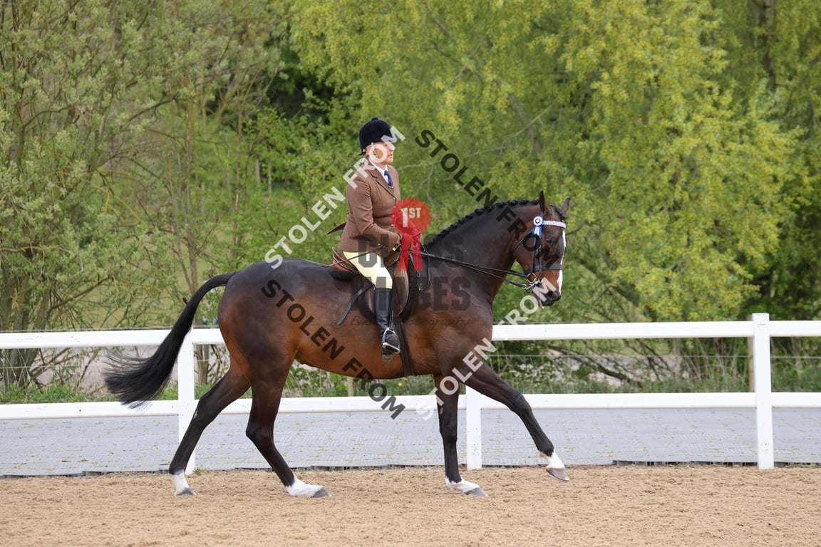 A13_2368 2025 - 1st Class Images