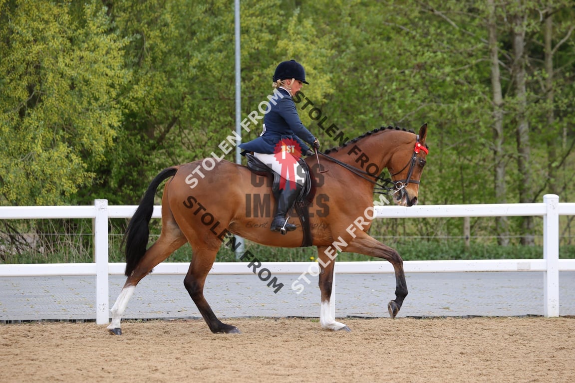 A13_2400 2025 - 1st Class Images