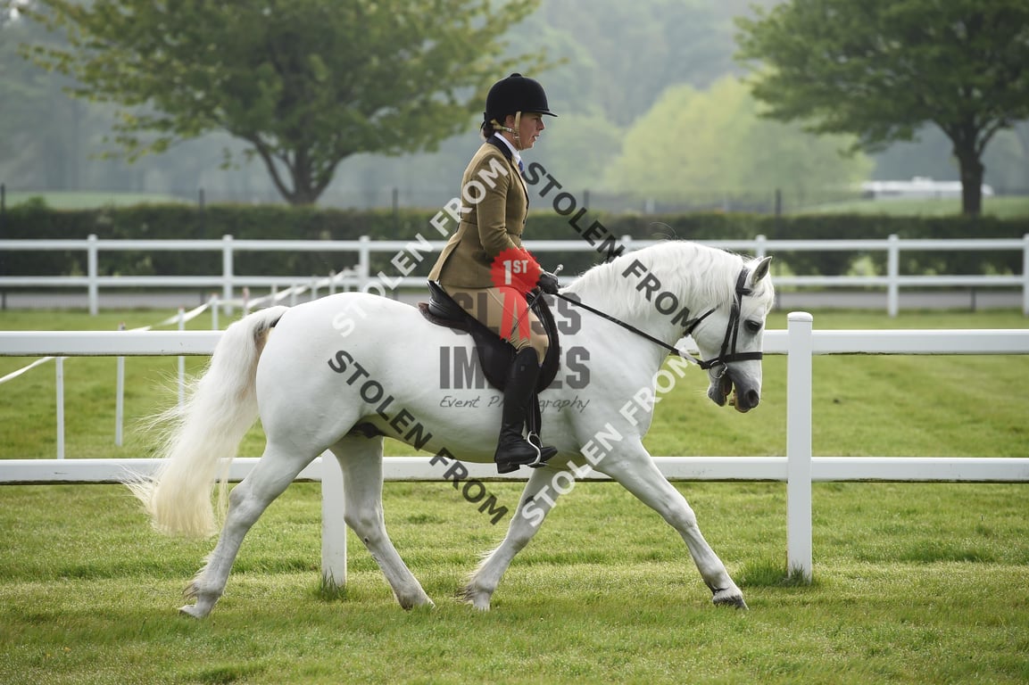 A21_0105 2025 - 1st Class Images