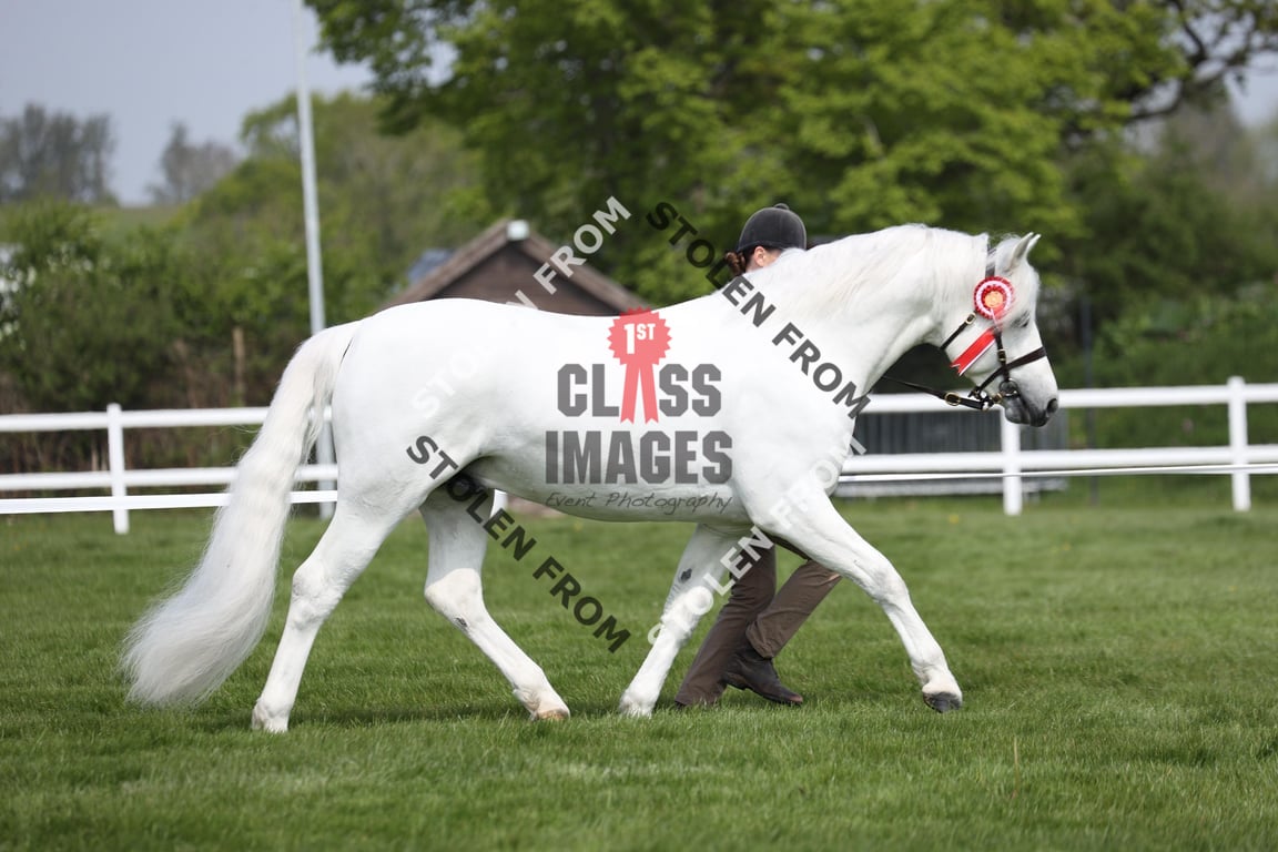 E21_1401 2025 - 1st Class Images