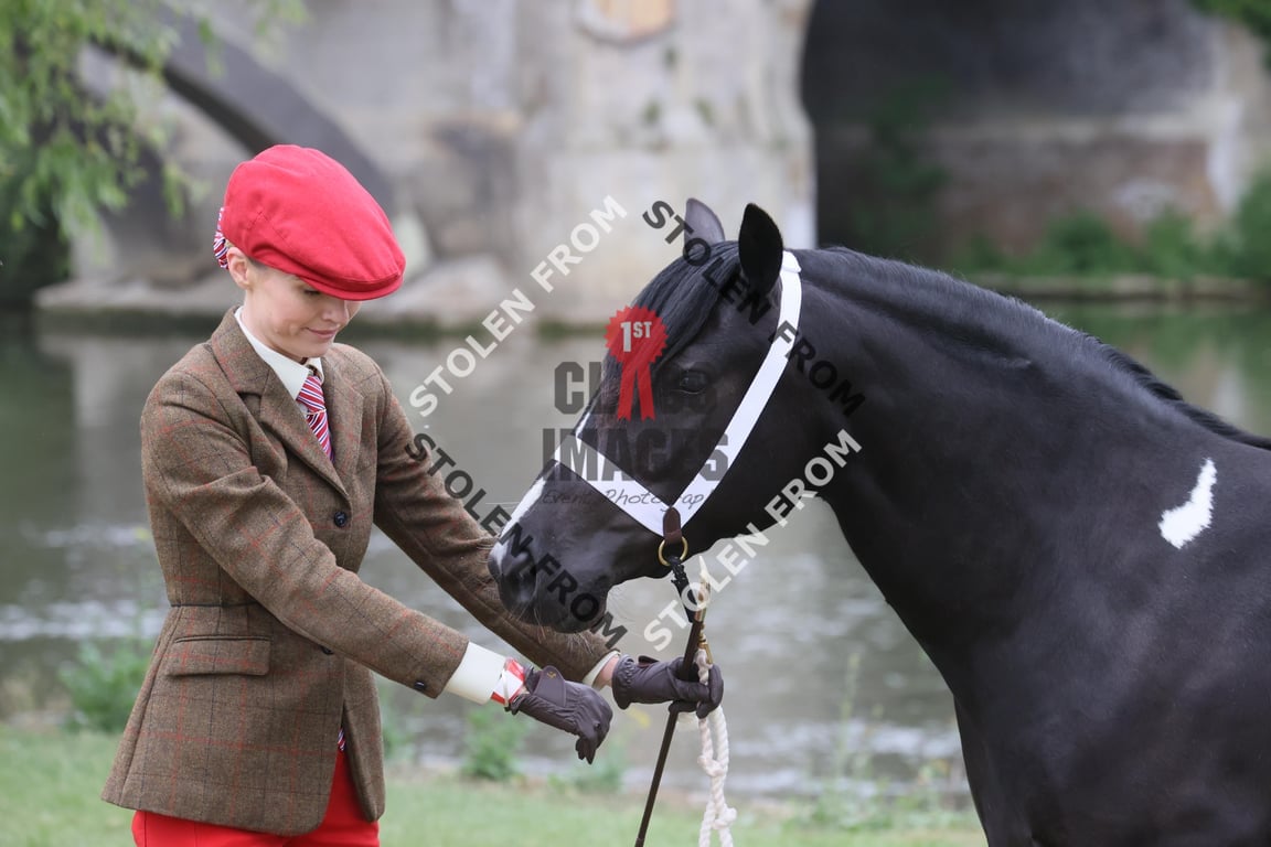 L32_1567 2025 - 1st Class Images