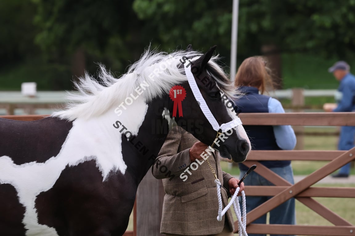 S32_9989 2025 - 1st Class Images