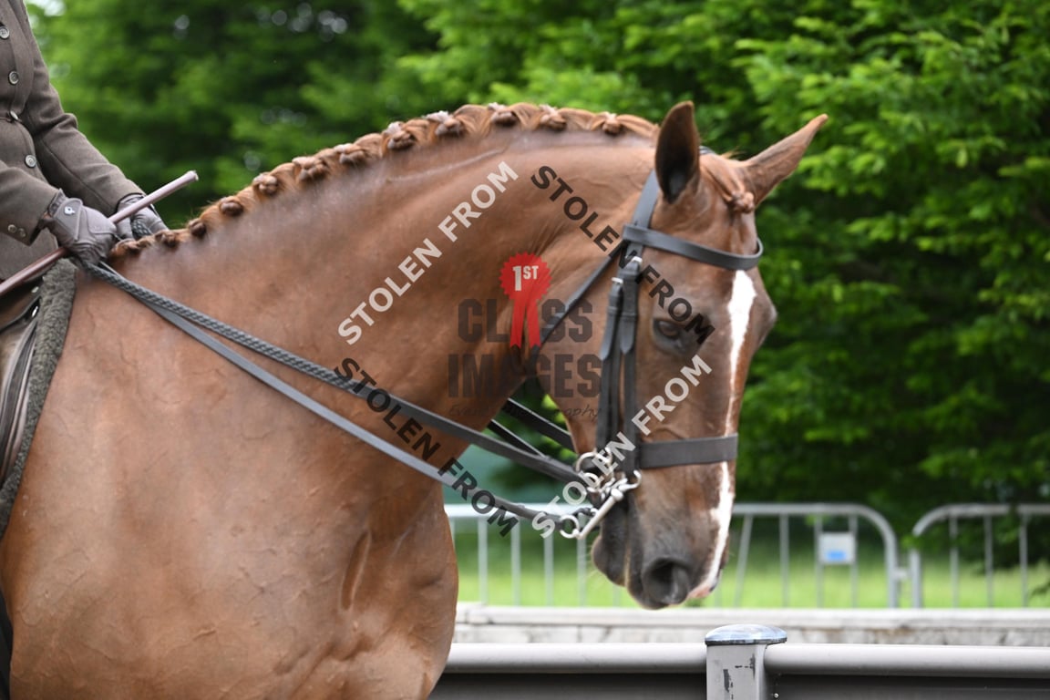 A32_1729 2025 - 1st Class Images