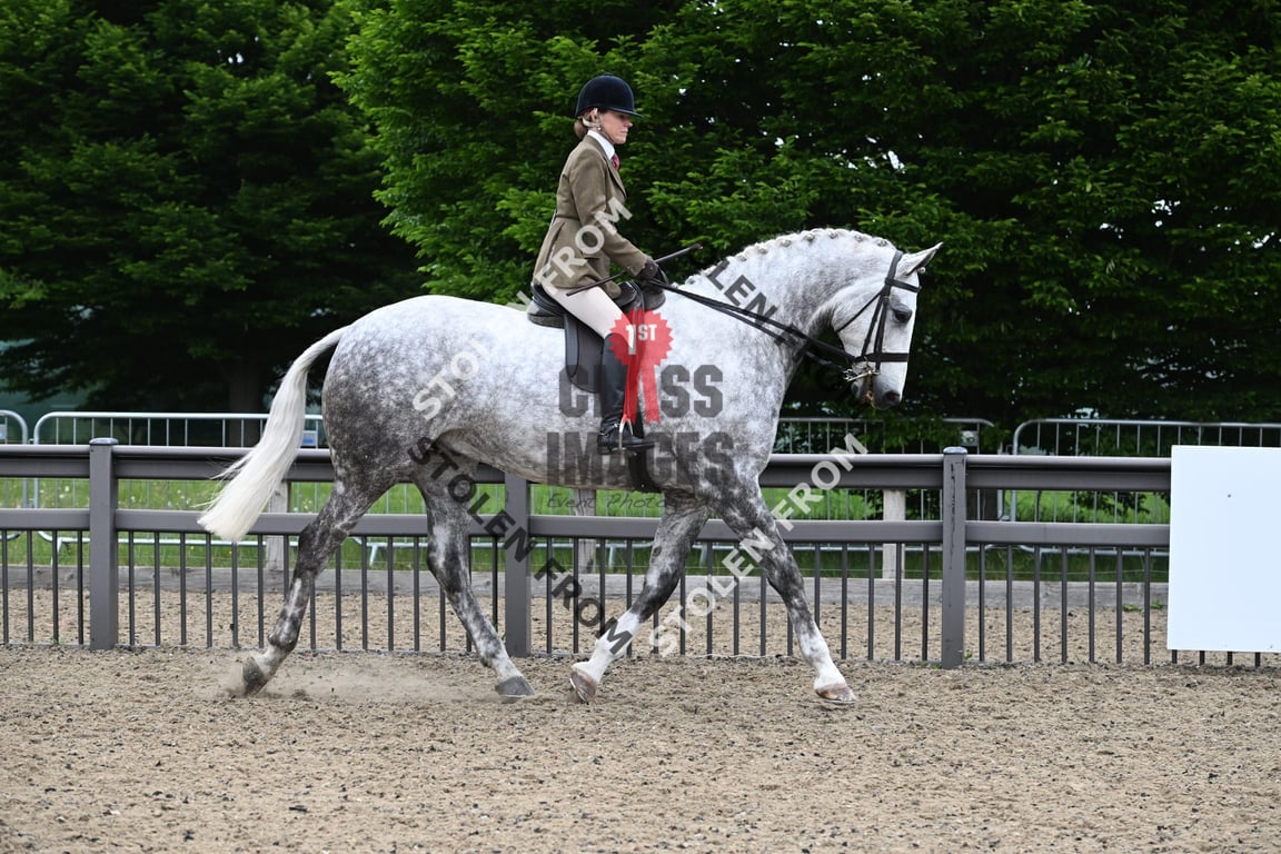 A32_1755 2025 - 1st Class Images