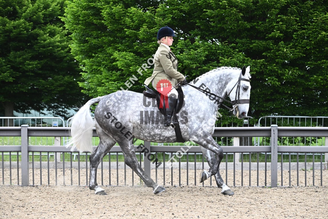 A32_1880 2025 - 1st Class Images