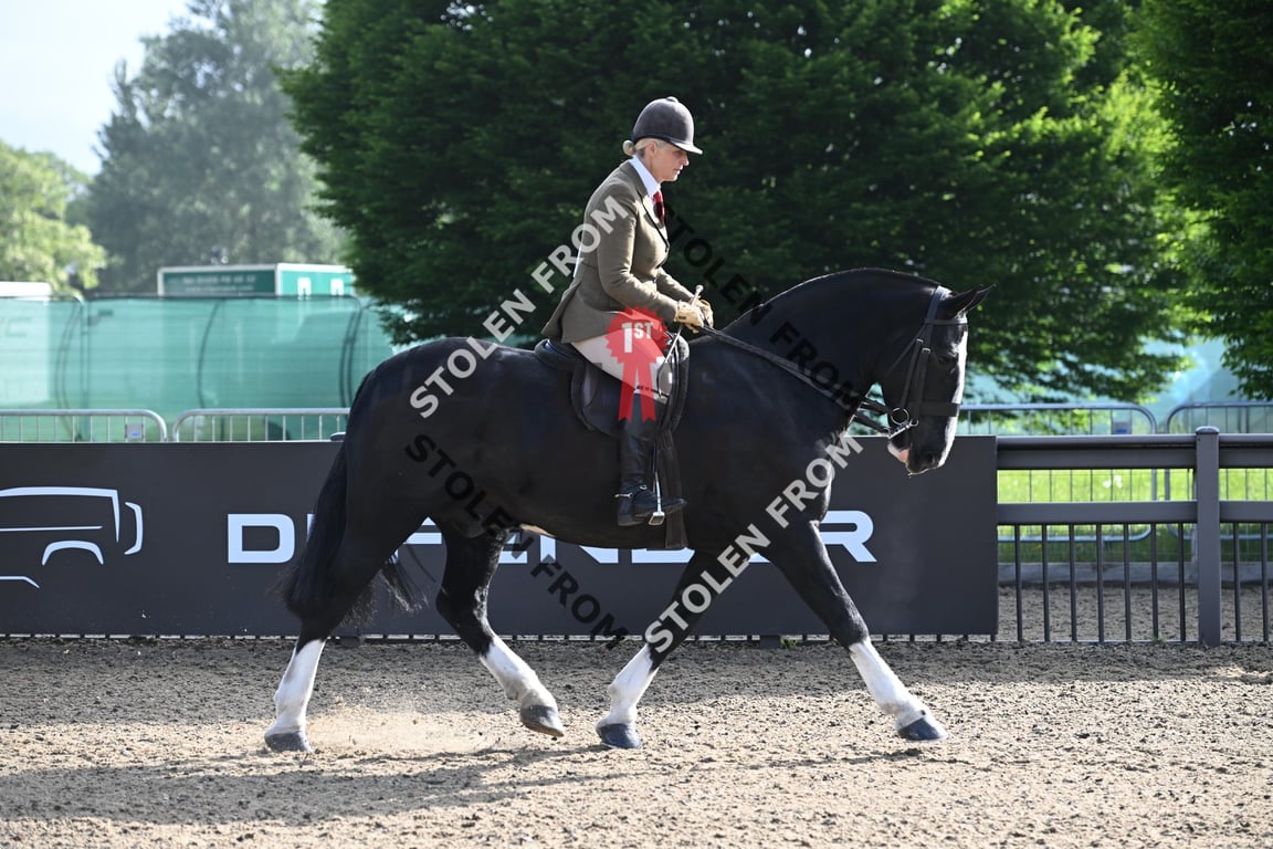 A33_0018 2025 - 1st Class Images