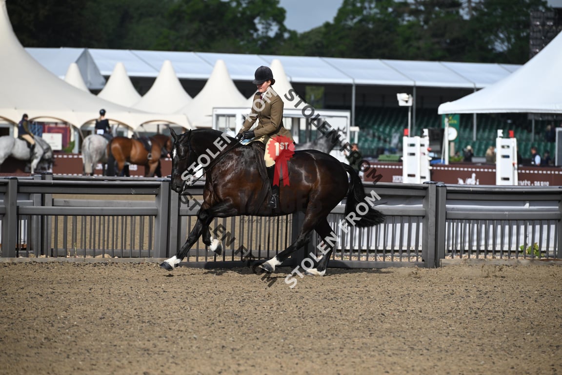 A33_0178 2025 - 1st Class Images