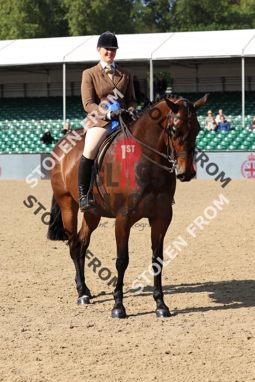 H33_0365 2025 - 1st Class Images