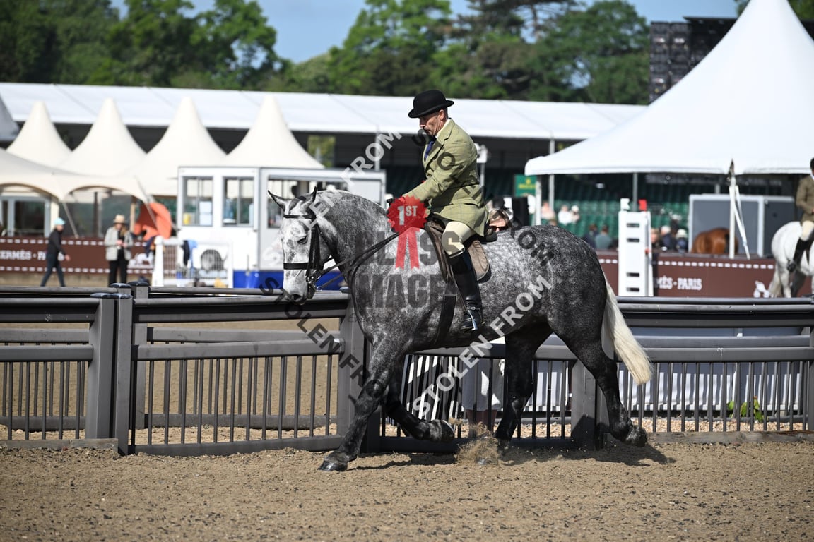 A33_0267 2025 - 1st Class Images