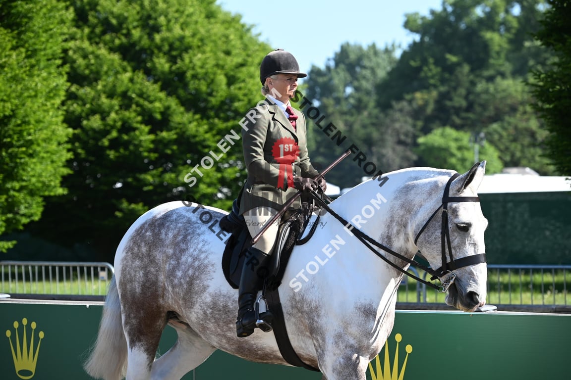 A33_0308 2025 - 1st Class Images