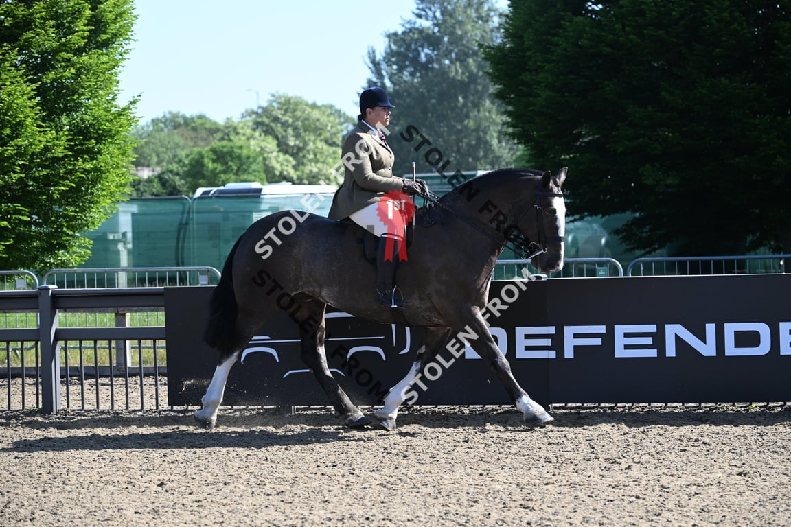 A33_0332 2025 - 1st Class Images