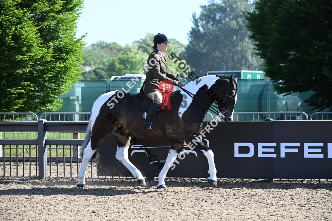 A33_0357 2025 - 1st Class Images