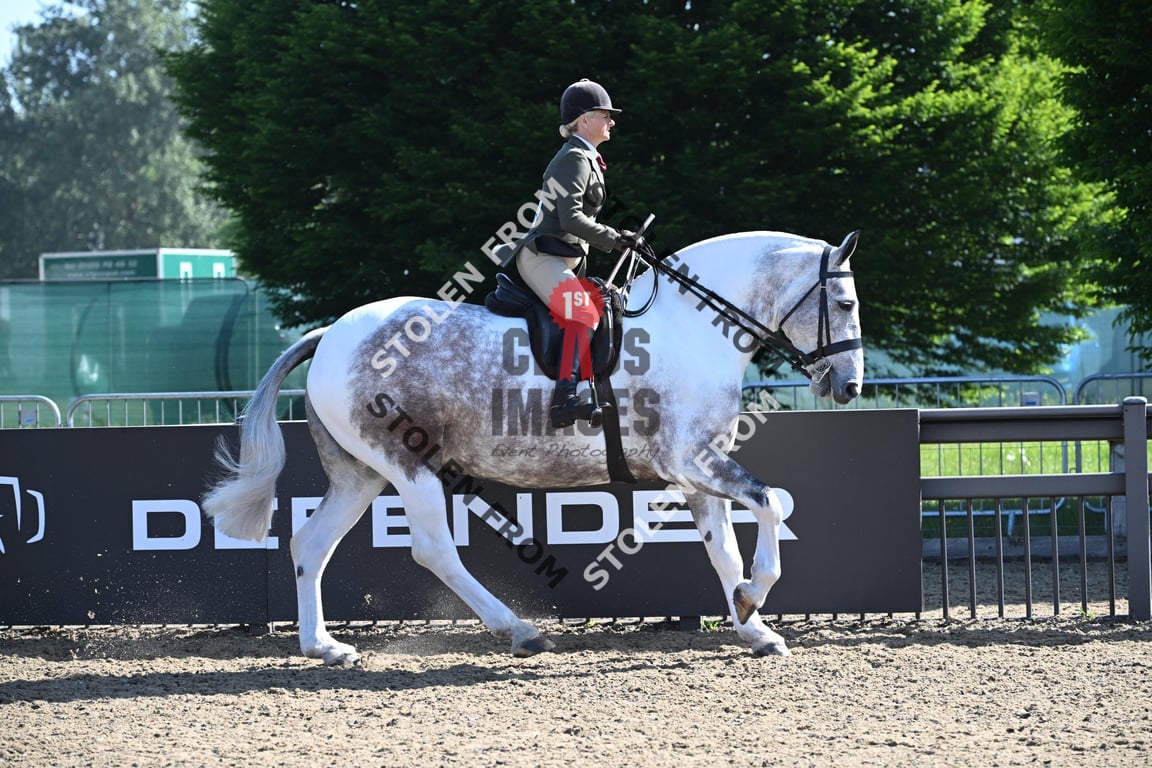 A33_0407 2025 - 1st Class Images