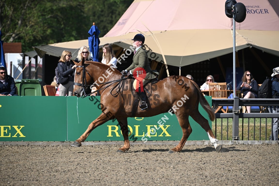 A33_0581 2025 - 1st Class Images