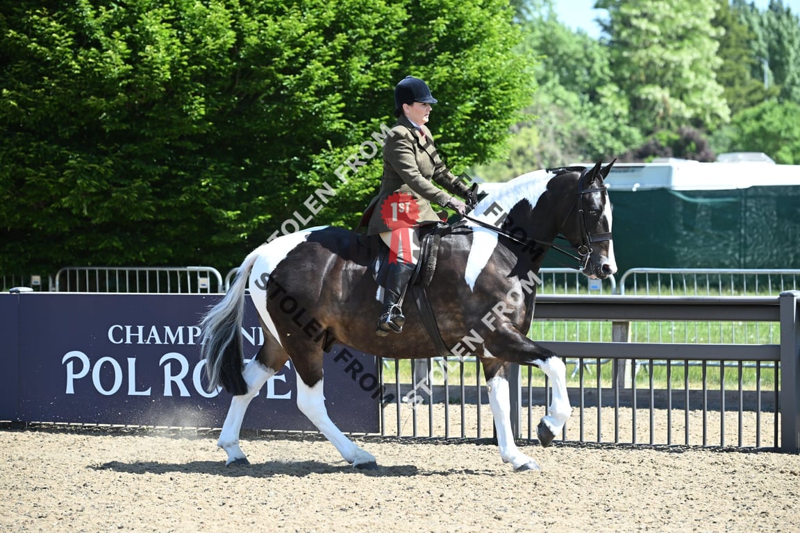 A33_0723 2025 - 1st Class Images