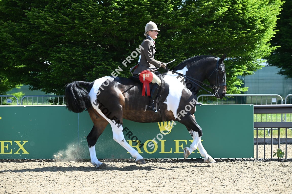 A33_0730 2025 - 1st Class Images