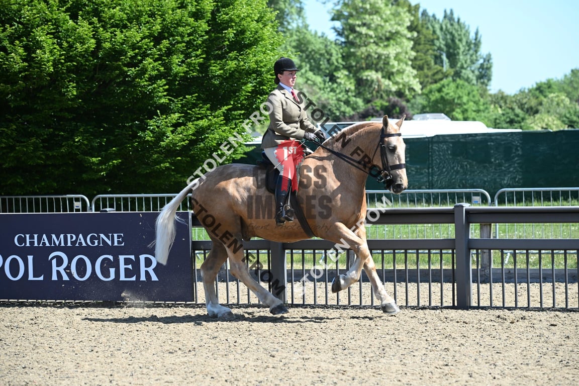 A33_0732 2025 - 1st Class Images