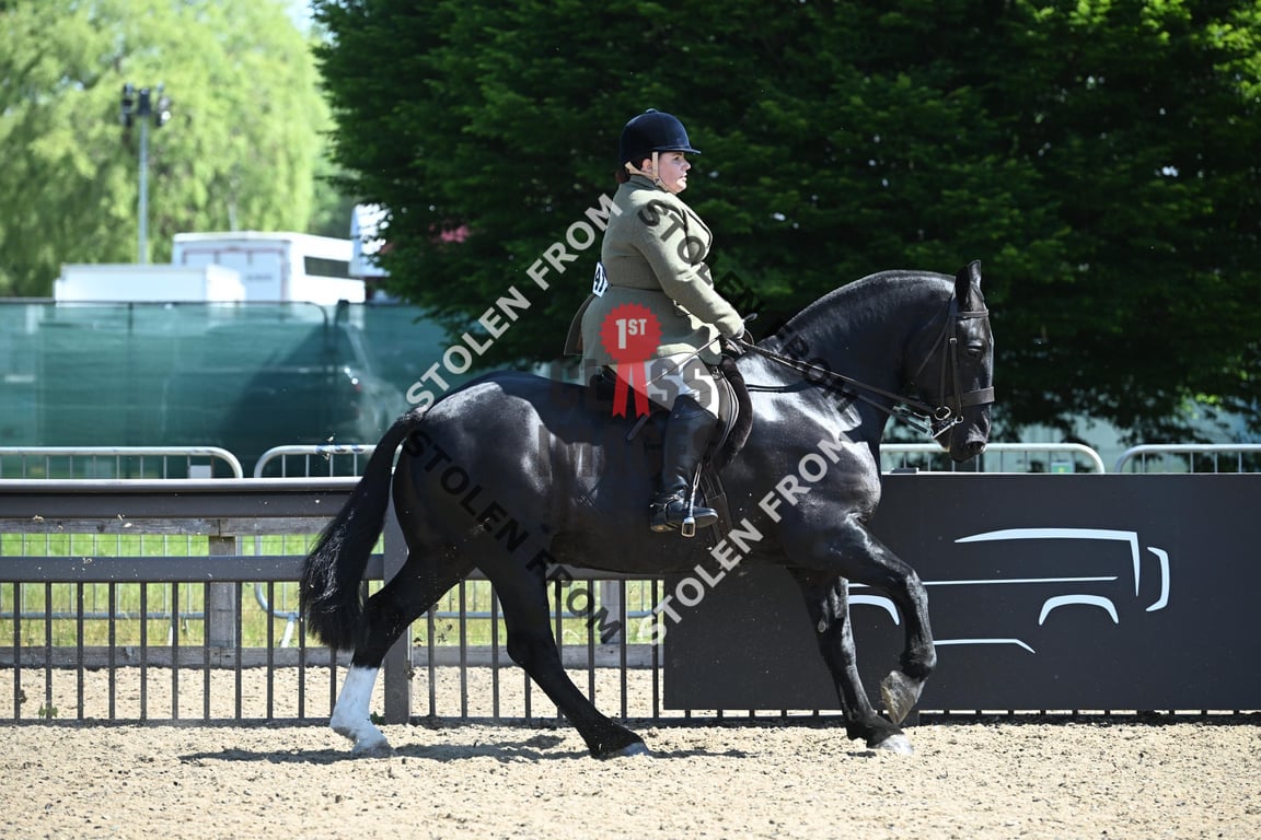 A33_0871 2025 - 1st Class Images