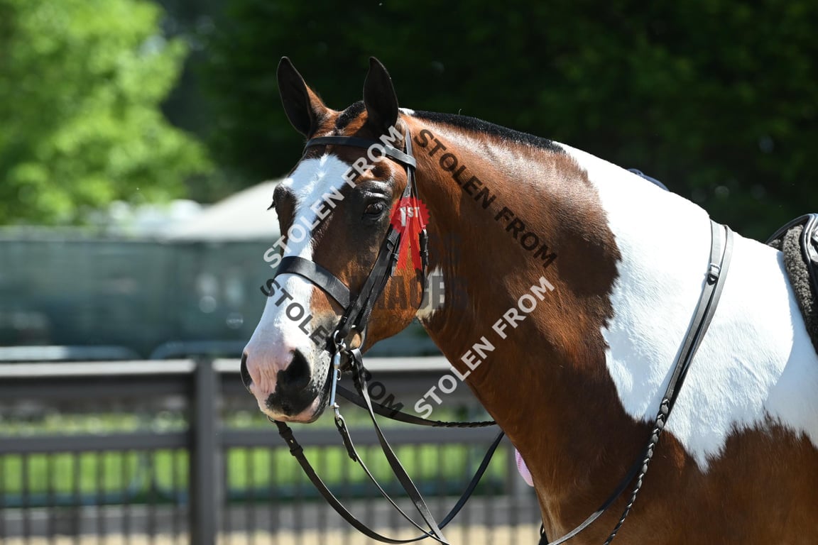 A33_0916 2025 - 1st Class Images