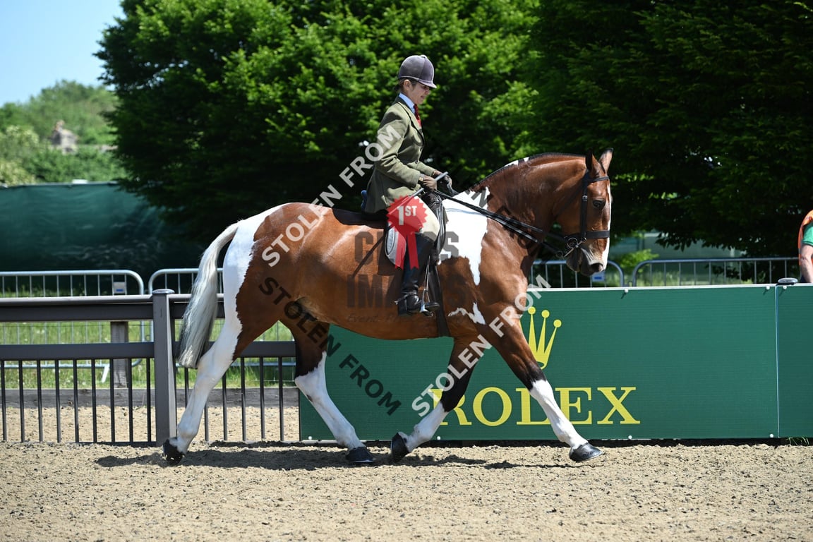 A33_1030 2025 - 1st Class Images