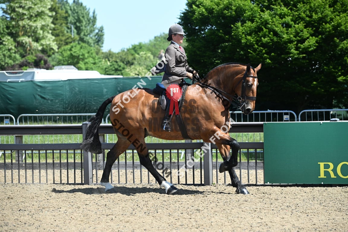 A33_1083 2025 - 1st Class Images