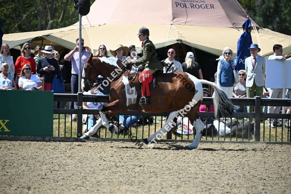 A33_1164 2025 - 1st Class Images