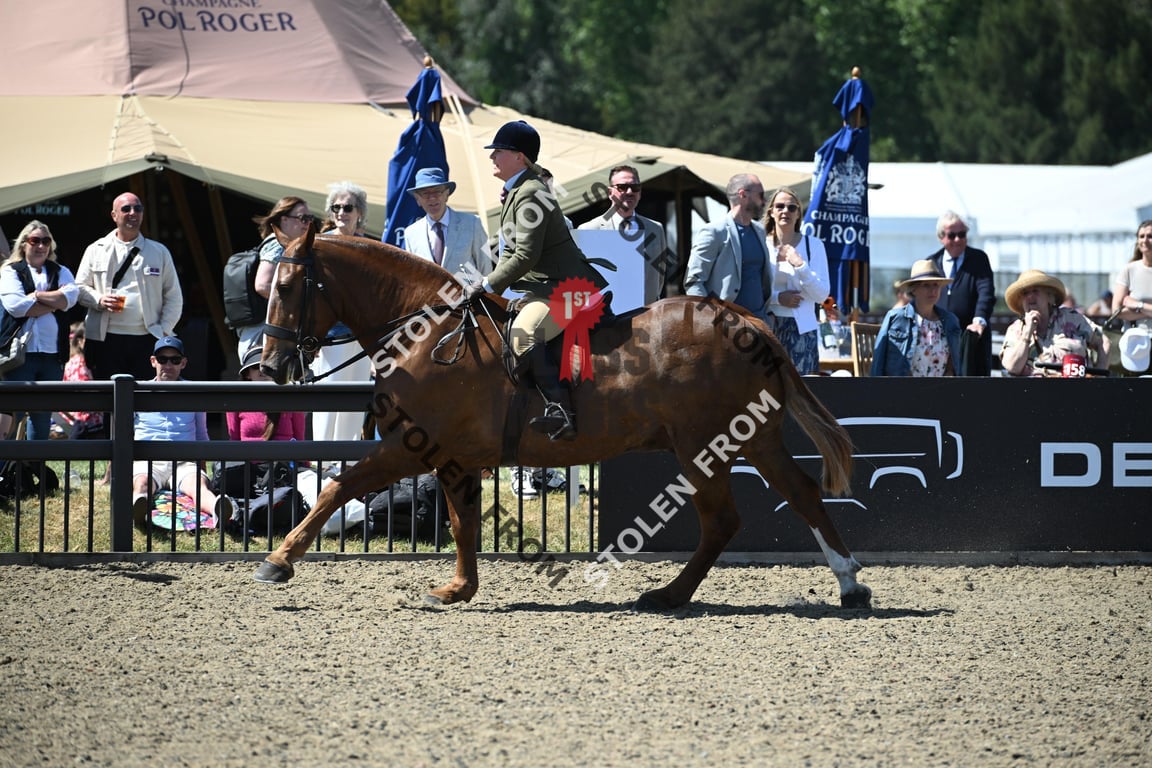 A33_1177 2025 - 1st Class Images