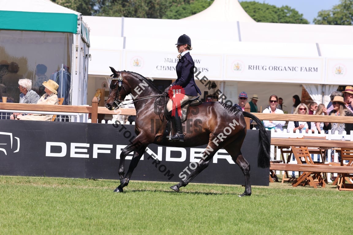 S33_1369 2025 - 1st Class Images