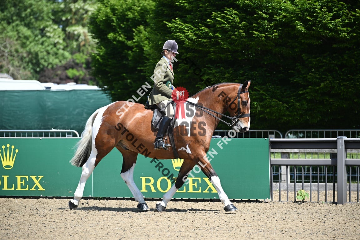 A33_1275 2025 - 1st Class Images