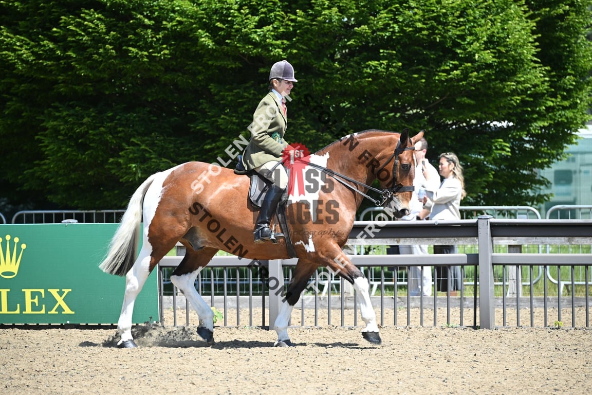 A33_1276 2025 - 1st Class Images