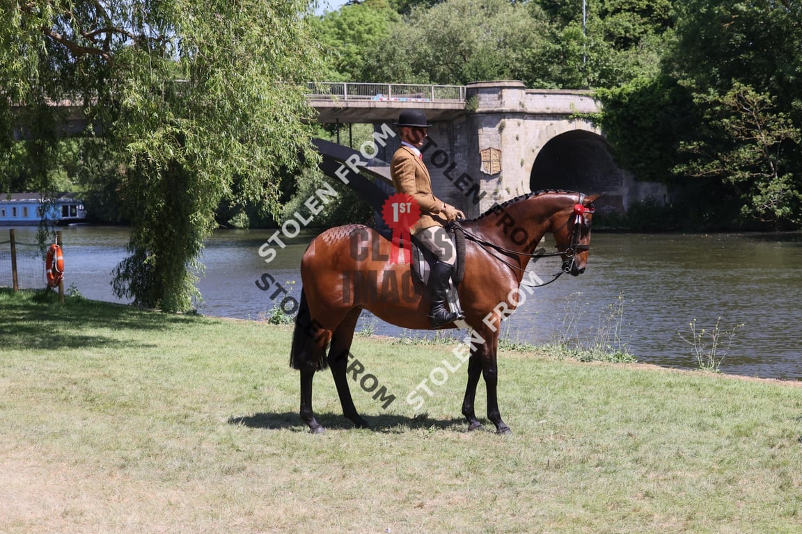 L33_4037 2025 - 1st Class Images