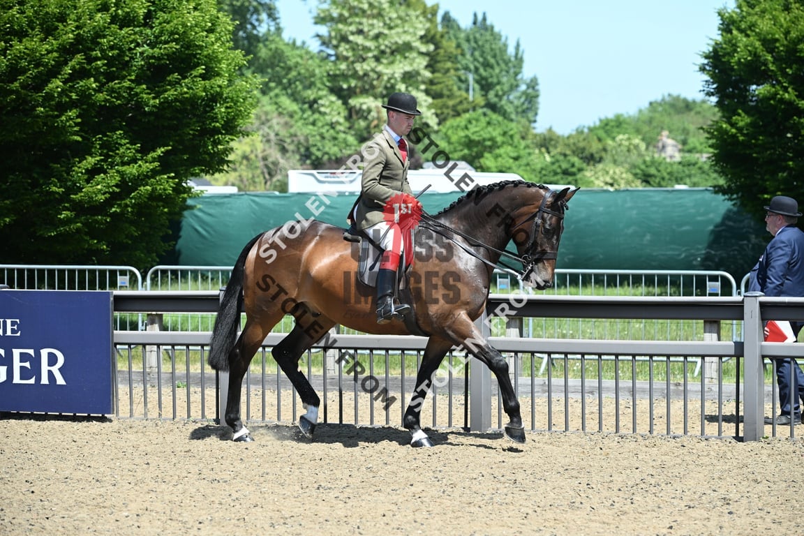 A33_1328 2025 - 1st Class Images