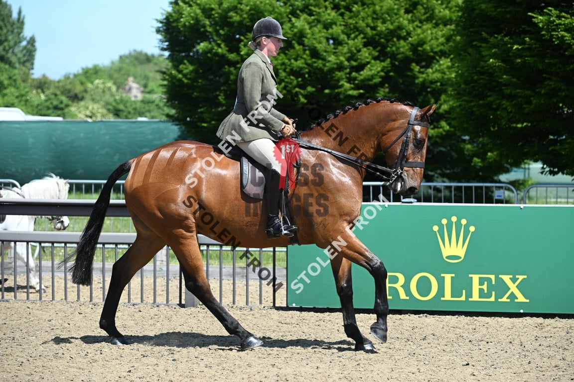 A33_1392 2025 - 1st Class Images