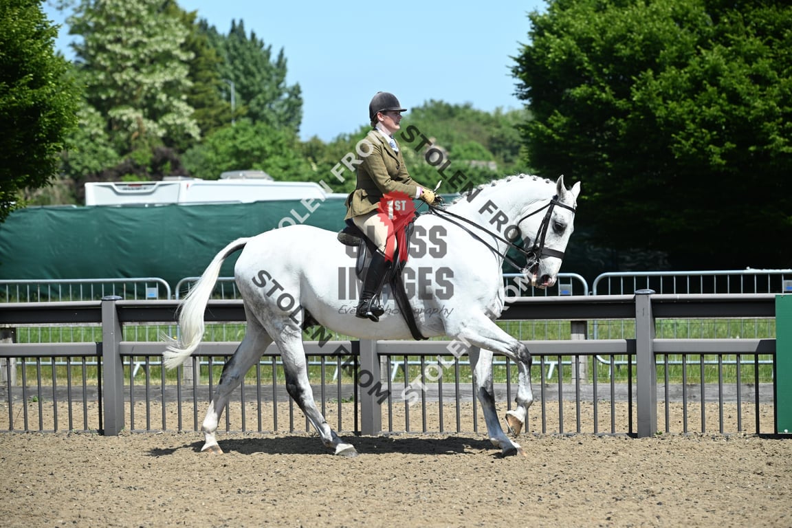 A33_1424 2025 - 1st Class Images