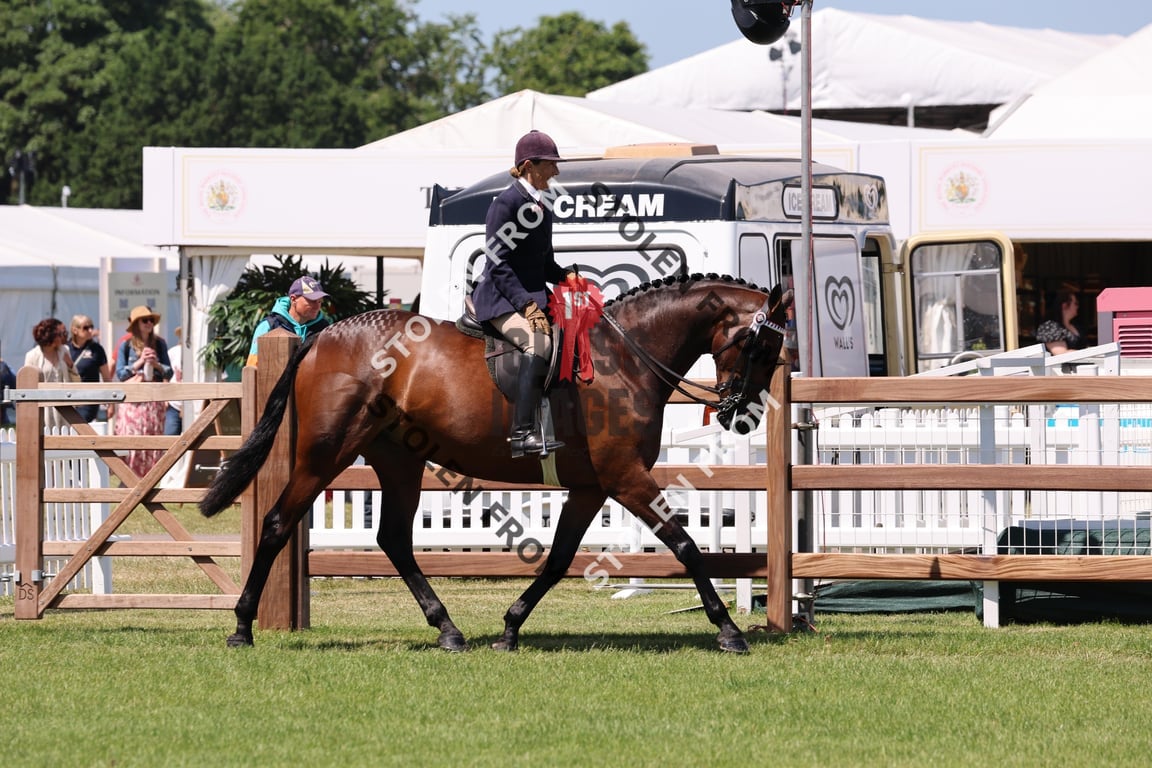 S33_1721 2025 - 1st Class Images