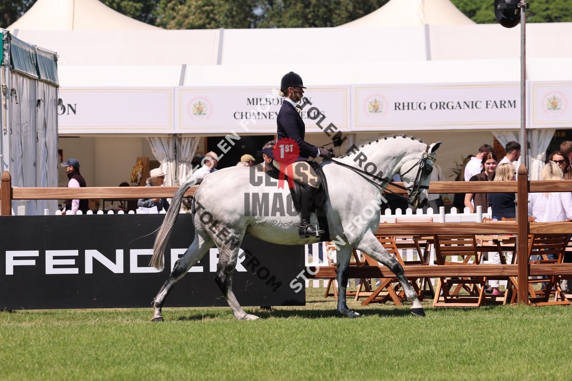 S33_1789 2025 - 1st Class Images