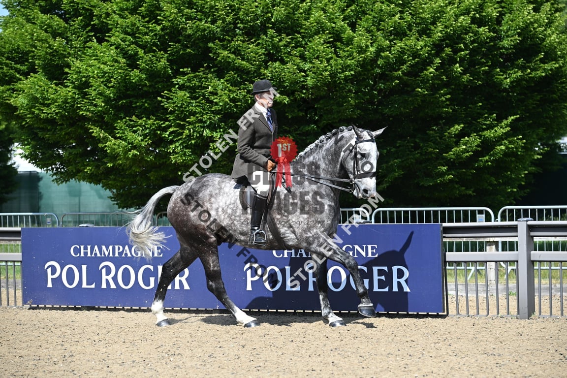 A33_1655 2025 - 1st Class Images