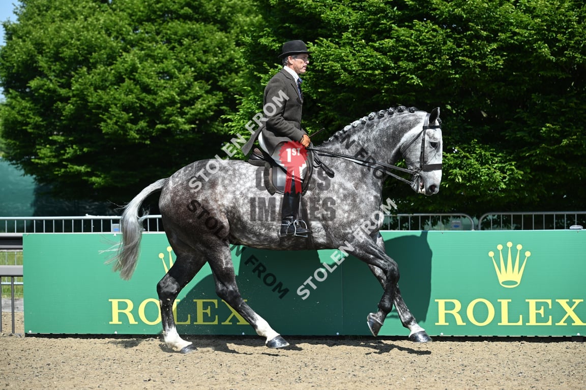 A33_1658 2025 - 1st Class Images