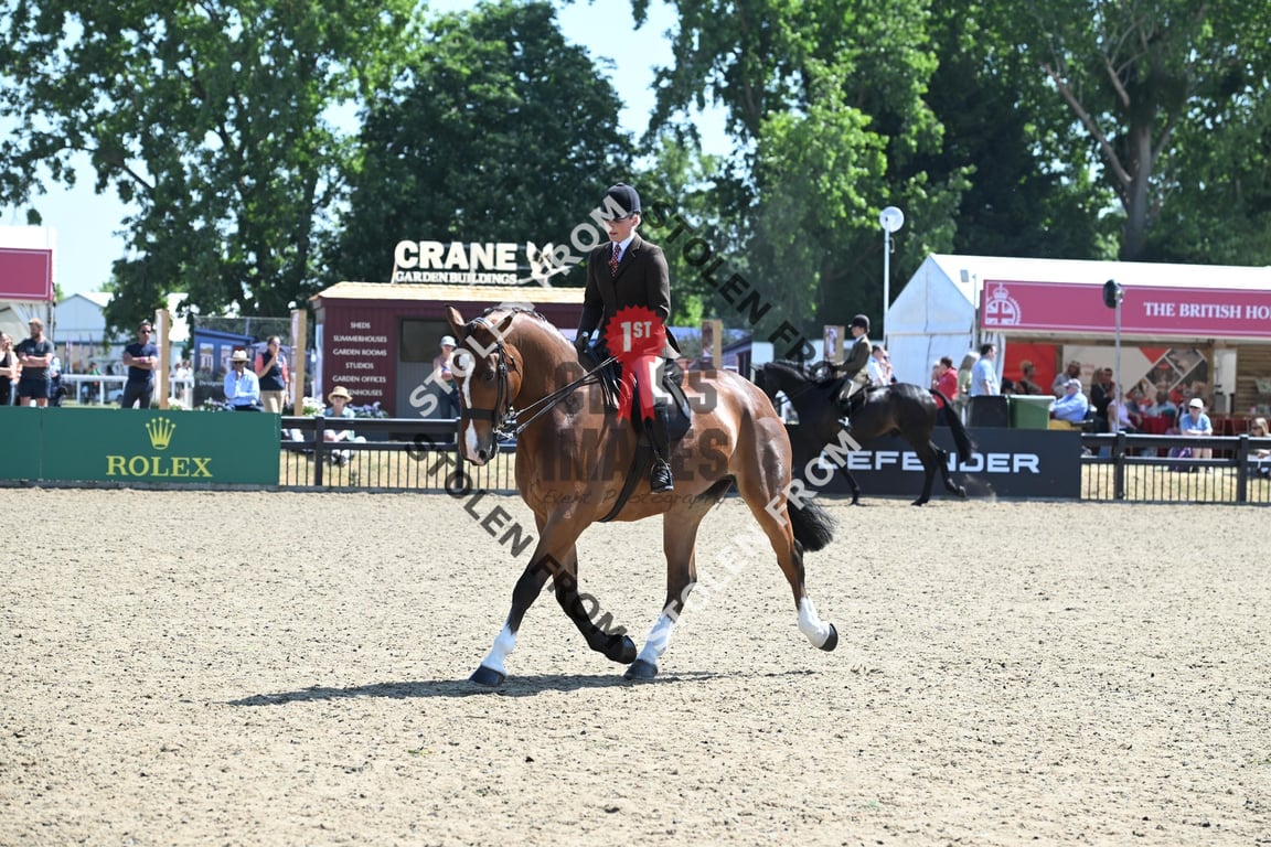 A33_1683 2025 - 1st Class Images