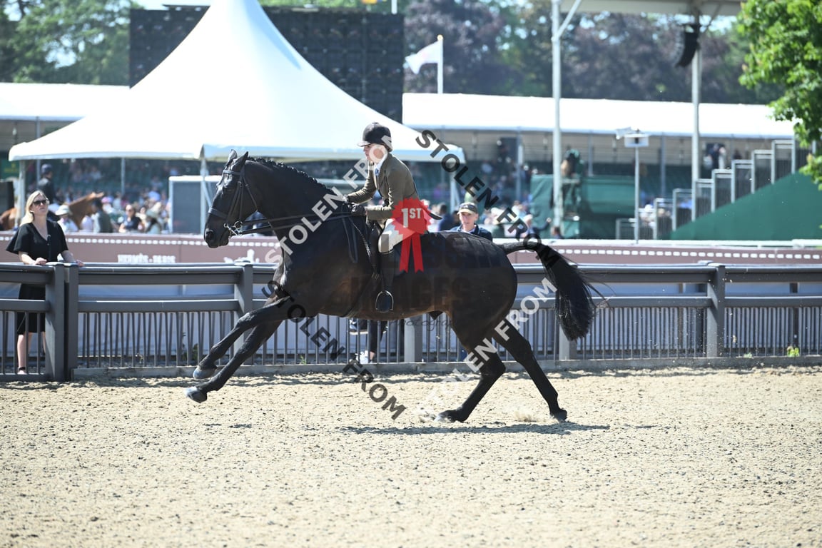 A33_1721 2025 - 1st Class Images