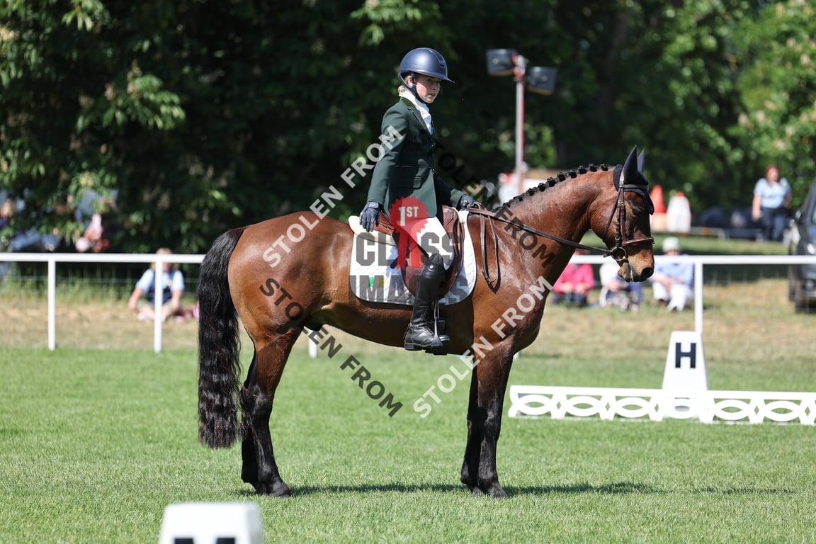 Z33_0466 2025 - 1st Class Images