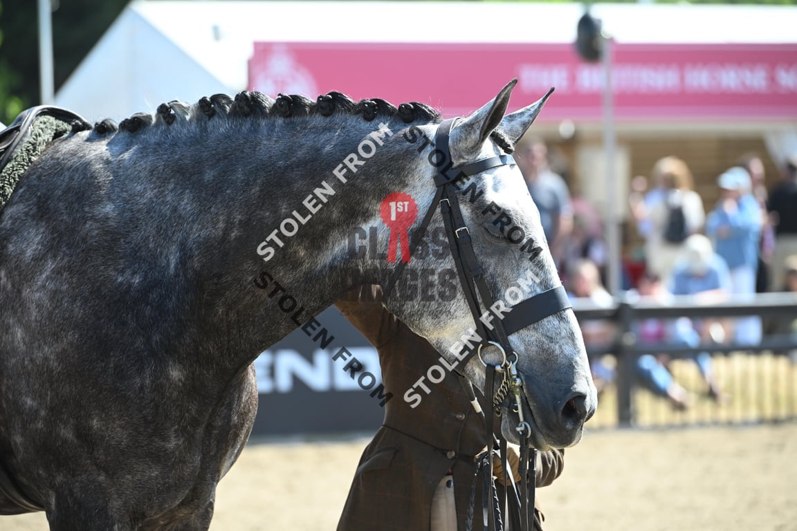 A33_1736 2025 - 1st Class Images