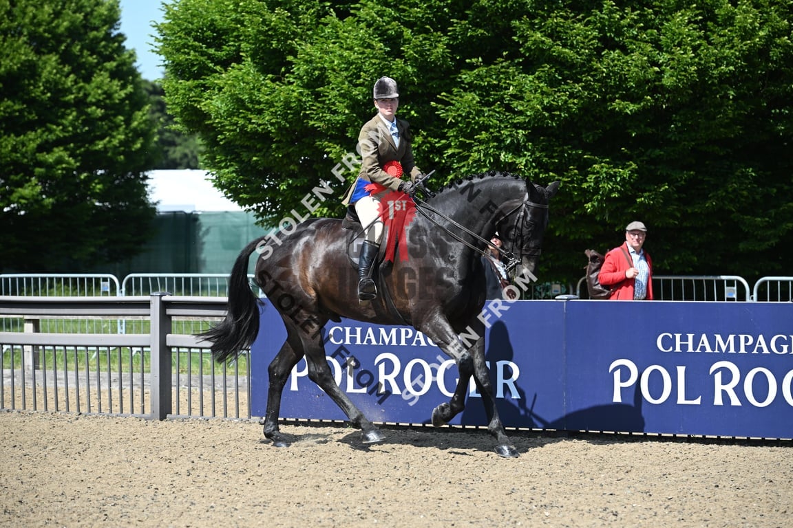 A33_1834 2025 - 1st Class Images