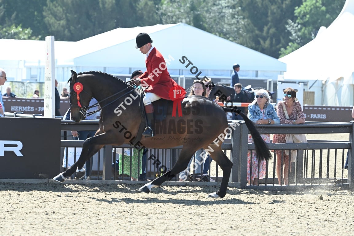 A33_1872 2025 - 1st Class Images