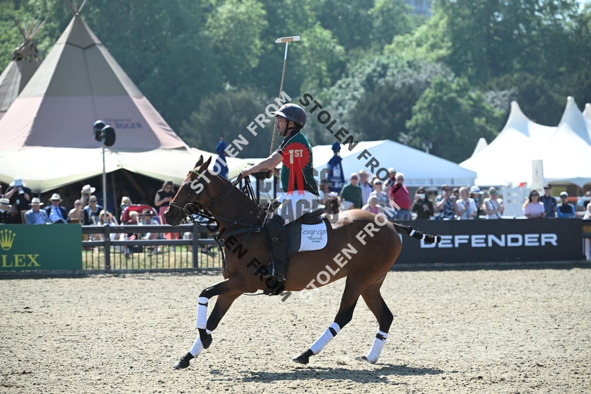 A33_1986 2025 - 1st Class Images