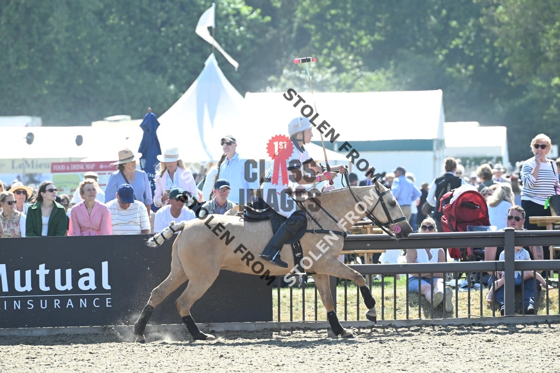 A33_2037 2025 - 1st Class Images