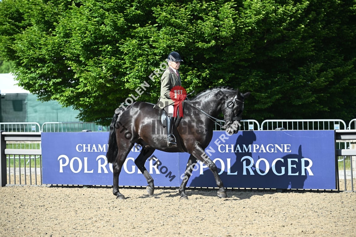 A33_2255 2025 - 1st Class Images