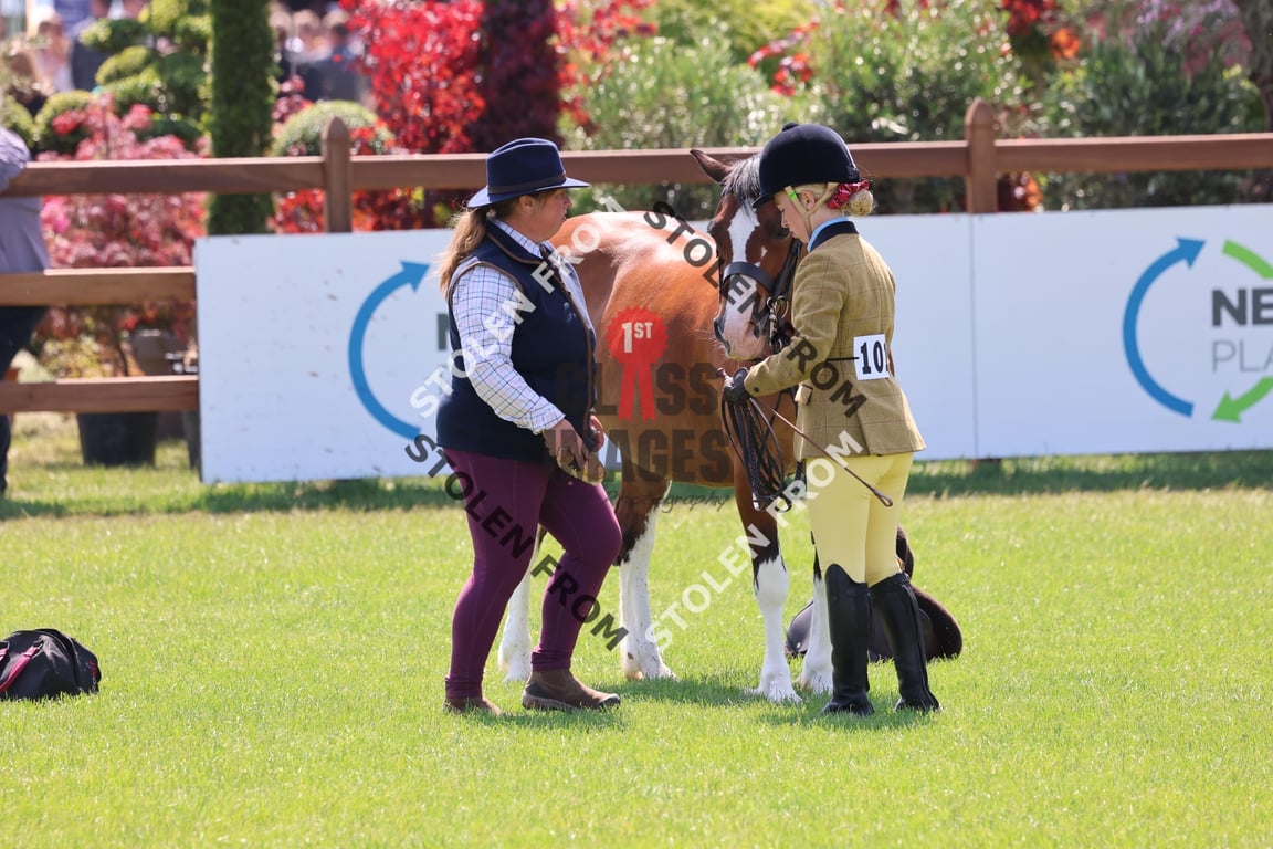 S34_4843 2025 - 1st Class Images